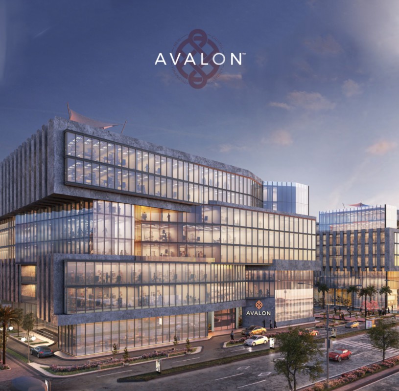 Own Your Office In Avalon The Administrative Capital | Real Estate Egypt
