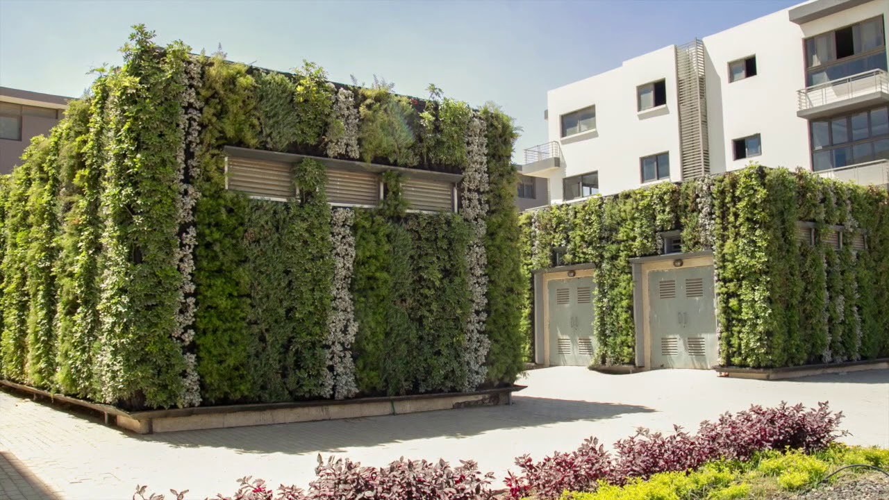 Invest in apartments for sale in Taj Sultan Nasr City, and guarantee ...